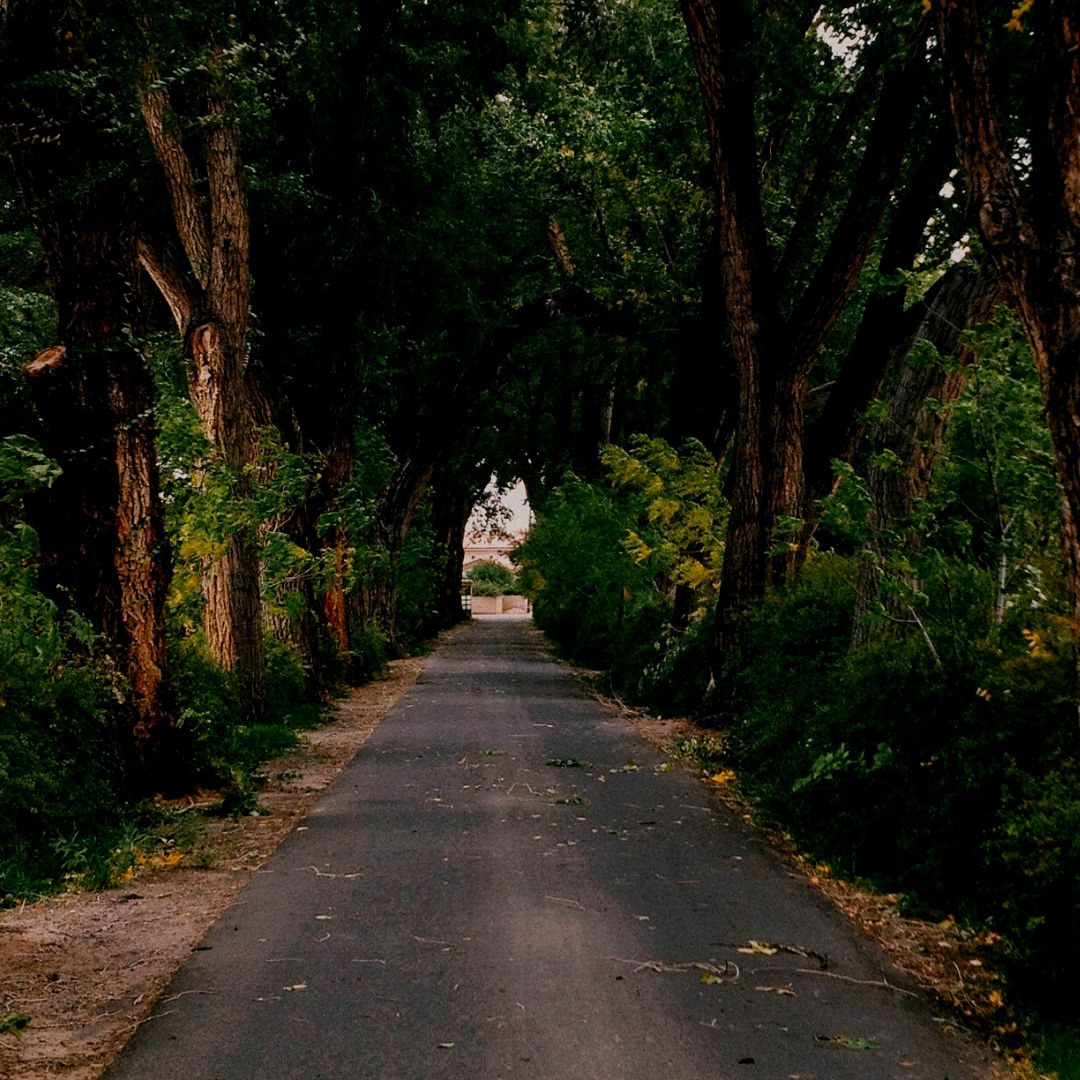 Drake Development | Blog